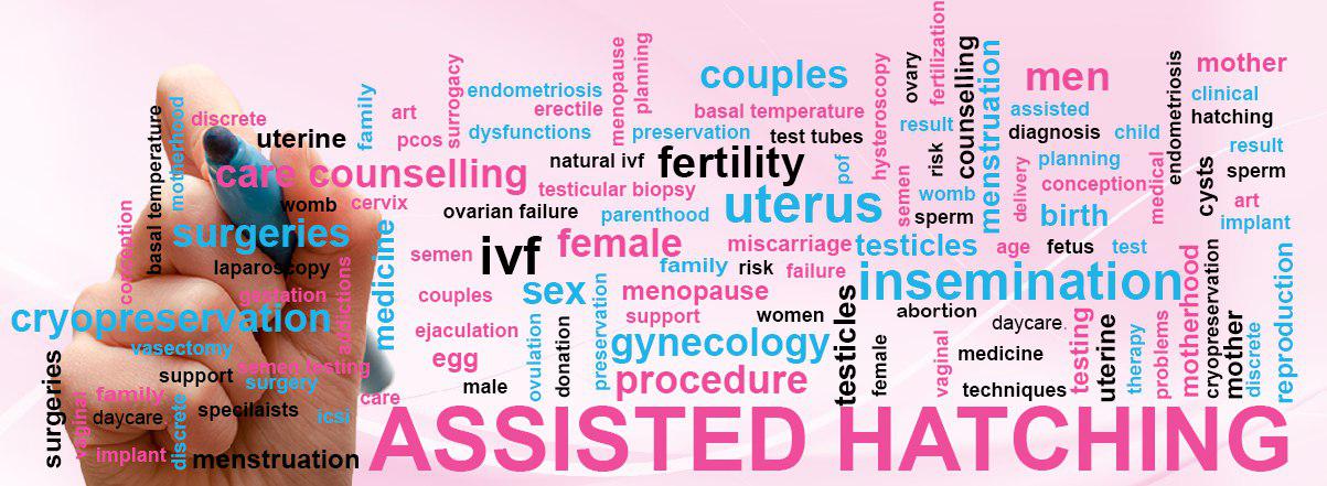 Assisted Hatching - Biotexcom - La Clinica della Medicina Riproduttiva